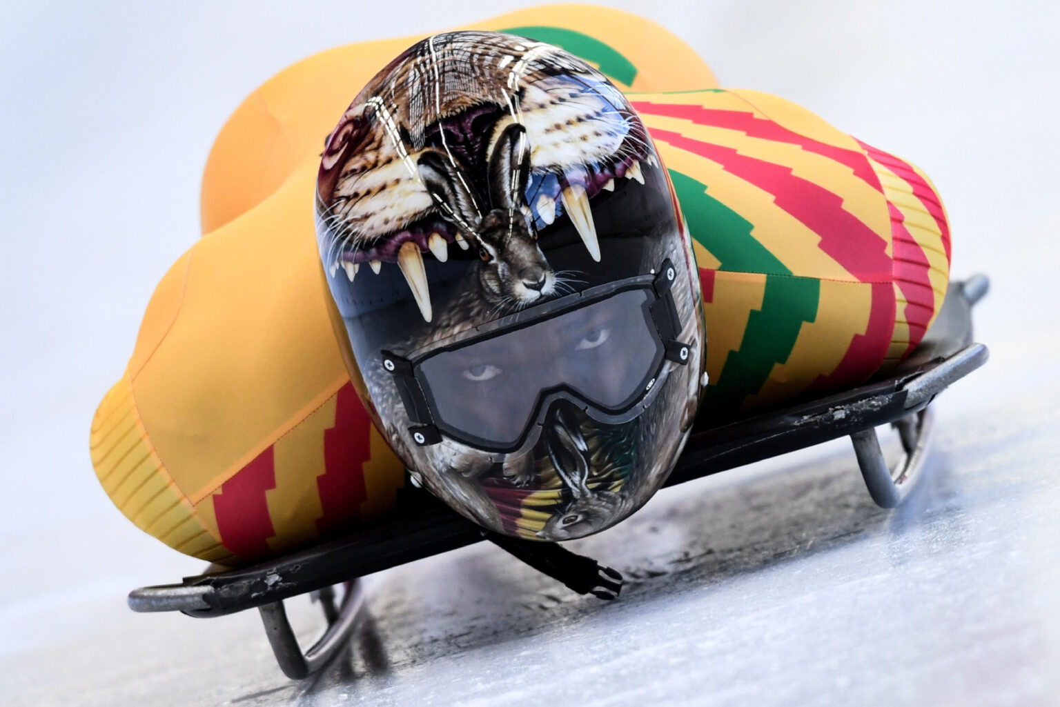 The Anatomy of a Winner: What It Takes to Excel in Skeleton Racing ...